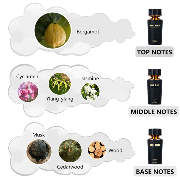 Noble Black Eau de Parfum - Sophisticated and Elegant Fragrance for Me ...